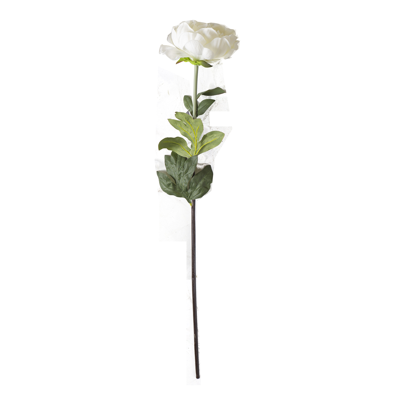 Pojeng IN GARDEN, H74cm, valge - MÖÖBEL | KODUKAUBAD